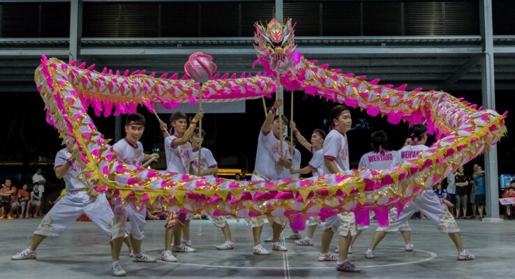 Competition Dragon - Singapore Wushu Dragon & Lion Dance Federation