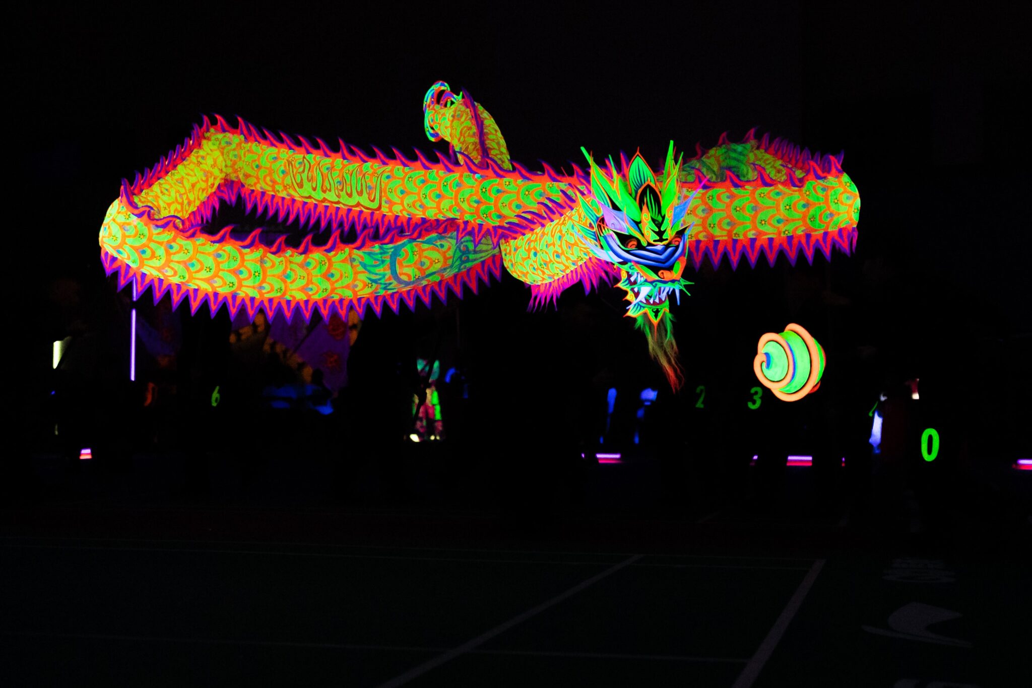 Luminous Dragon - Singapore Wushu Dragon & Lion Dance Federation